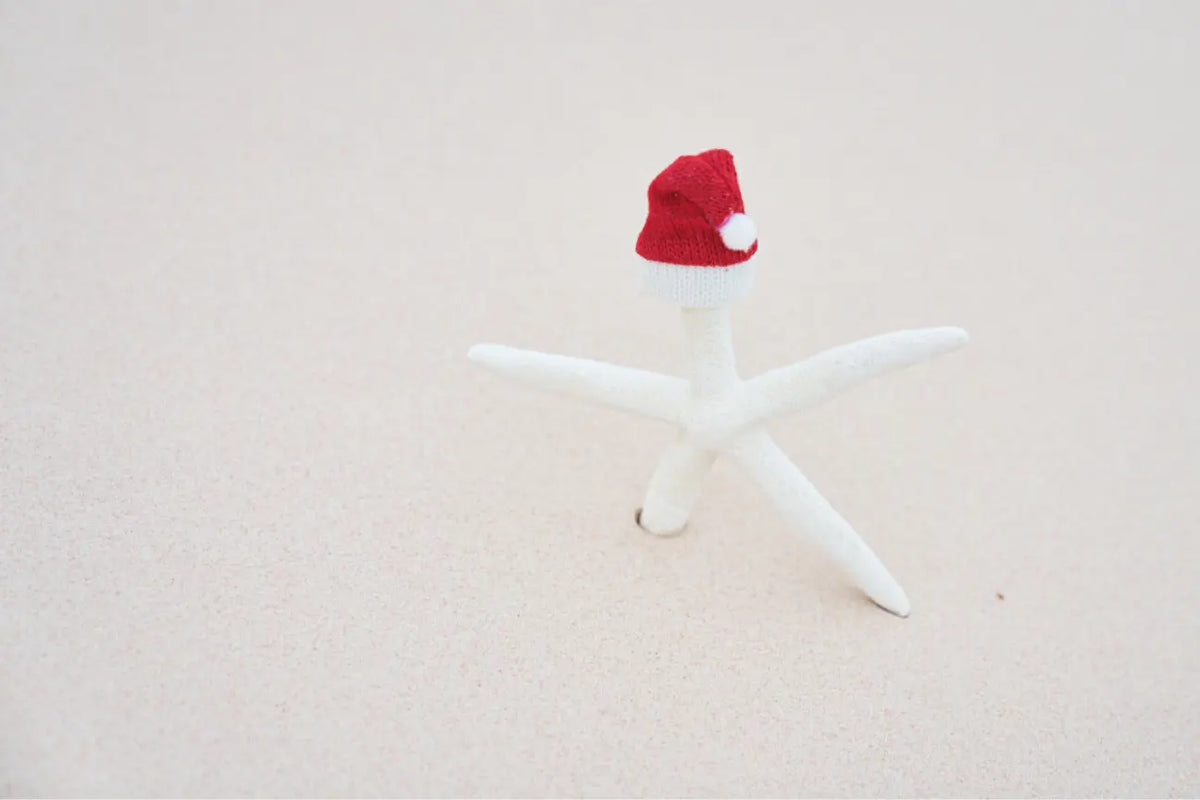 Get Ready to Gift! What You Need to Know for Holiday 2023! – Sea Star ...